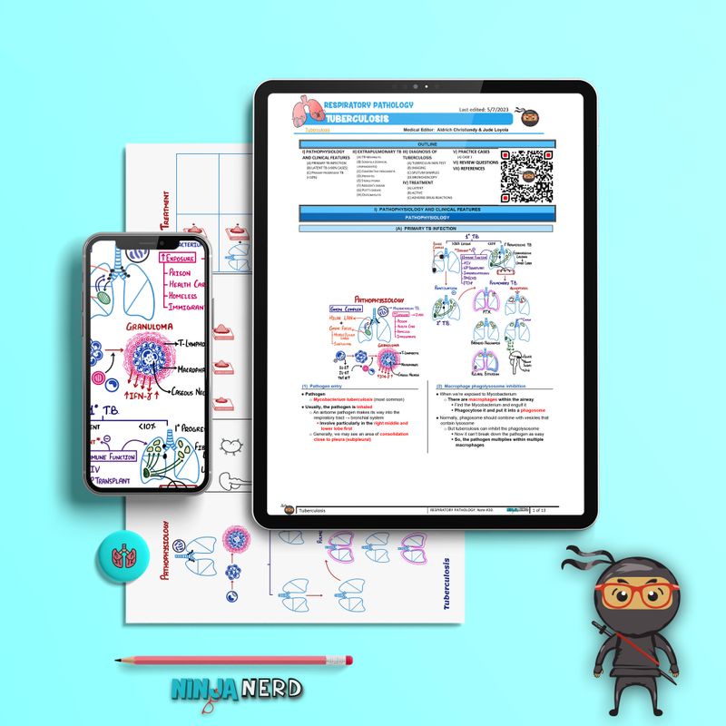Tuberculosis - Notes - NinjaNerd Medicine